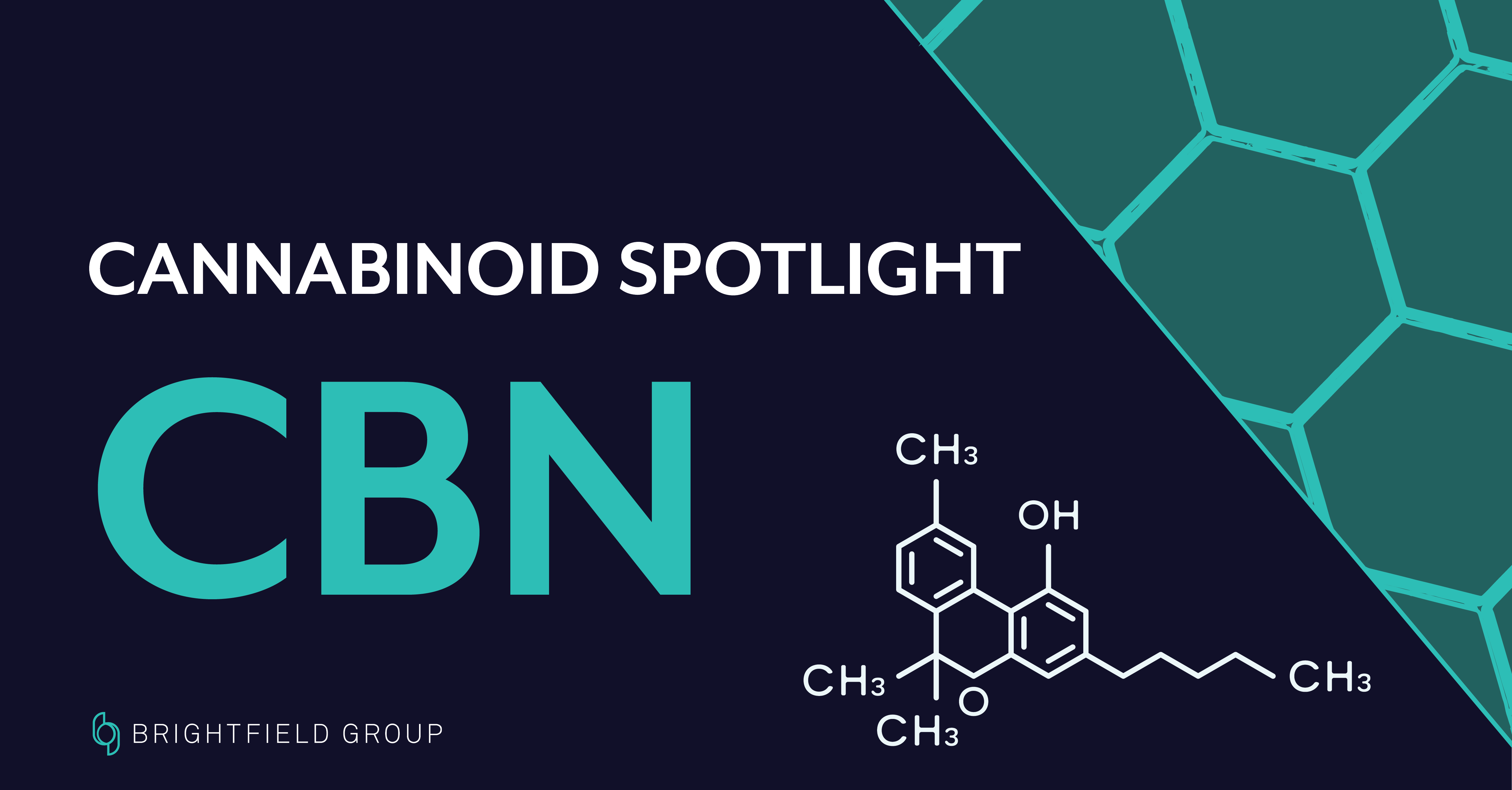 CBN's Potential Consumers, Products, and Competition